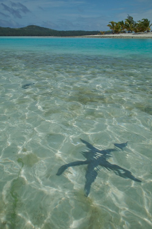 G1002 - Introduction to Composition